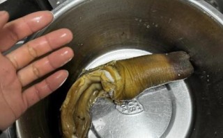 象拔蚌生吃怎么做_象拔蚌生吃安全吗