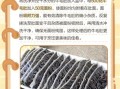 毛肚怎么洗才能干净_毛肚清洗的正确方法