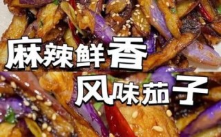 香辣茄子怎么做_家常香辣茄子做法大全