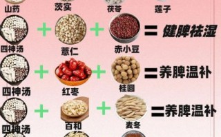 养生药膳食谱有哪些_适合四季的养生药膳怎么做