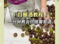 如何在家酿造葡萄酒_葡萄酒发酵需要多久