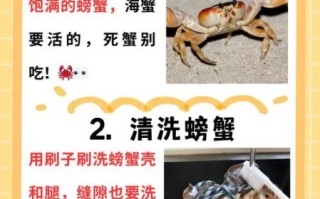 螃蟹蒸多长时间可以吃_清蒸螃蟹要多久