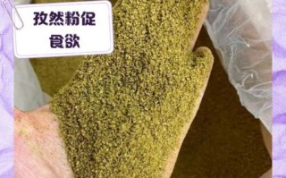 孜然粉吃多了会怎么样_孜然粉过量危害