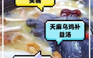 哪些人不能吃天麻炖鸡_天麻炖鸡禁忌人群