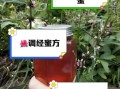益母草蜂蜜膏的功效与作用_适合什么人吃