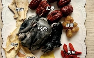 乌鸡怎么炖好吃_乌鸡汤的做法大全