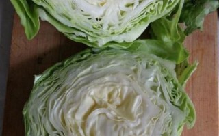 茴子白热量高吗_茴子白怎么吃最营养