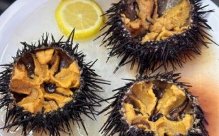海胆有几种做法_海胆怎么吃最好吃