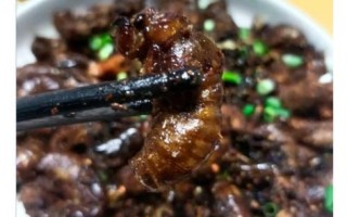蝉的做法家常做法大全_蝉怎么做好吃