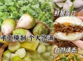 芥菜疙瘩怎么腌制_芥菜疙瘩腌制方法大全
