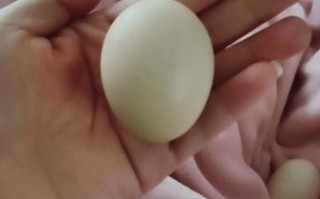 白煮蛋要煮多久_白煮蛋几分钟最嫩