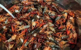 10斤大龙虾多少钱_10斤龙虾价格表