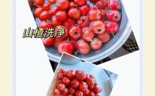 自制山楂糕怎么做_山楂糕家常做法