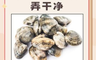 花甲怎么洗才没有泥沙_花甲去沙最快的方法