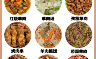 羊肉的家常做法有几种_羊肉怎么做好吃又简单