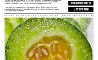 羊角蜜的功效与作用禁忌_孕妇能吃吗