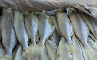 麦香鱼是什么鱼_麦香鱼原料揭秘