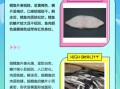 银鳕鱼和鳕鱼有什么区别_银鳕鱼是不是鳕鱼