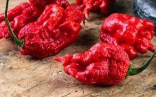 魔鬼辣椒辣死过多少人_真的吃死人了吗