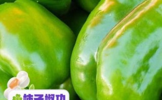 柿子椒的功效与作用_怎么吃最营养