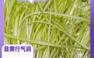 韭黄不能和什么一起吃_韭黄食用禁忌有哪些