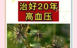 降血压最好的方法_降血压偏方大全