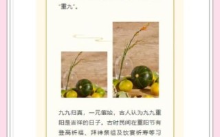 重阳节祝福语有哪些_重阳节登高寓意是什么