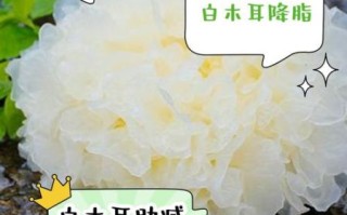白木耳的功效与作用及副作用_什么人不能吃