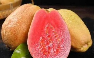 芭乐水果怎么吃_芭乐怎么吃才好吃