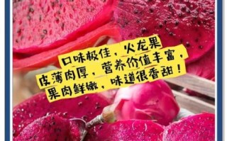 红心火龙果的功效_红心火龙果可以减肥吗