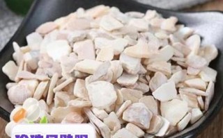 珍珠母的功效与作用_珍珠母的禁忌有哪些