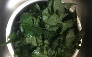 红薯叶窝窝头怎么做_红薯叶窝窝头做法窍门