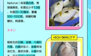 鲳鱼和金鲳鱼的区别_哪个更好吃