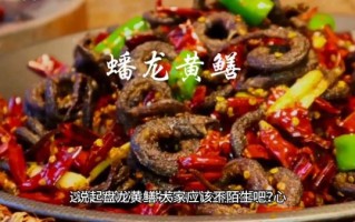 鳝鱼子龙是什么_鳝鱼子龙怎么吃