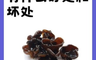黑木耳的功效与副作用_什么人不能吃