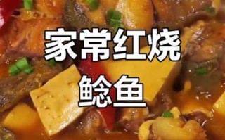 鲶鱼怎么做好吃_鲶鱼的做法大全视频