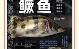 鲑鱼和桂鱼一样吗_鲑鱼与桂鱼的区别