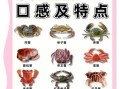 海边常见螃蟹有哪些_怎么区分