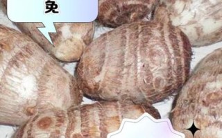 芋头的营养价值_芋头有哪些功效与作用