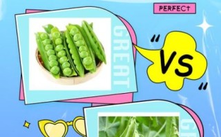 青豆和豌豆哪个营养好_青豆豌豆营养价值对比