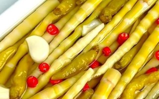 泡竹笋的做法大全_家常窍门