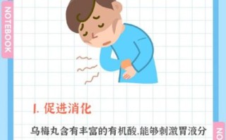 乌梅丸的功效与作用_乌梅丸适合什么人吃
