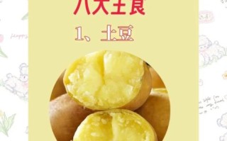 吃什么东西有助于减肥_减肥期间吃什么掉秤快