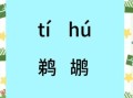 鹈鹕怎么读_鹈鹕发音是什么