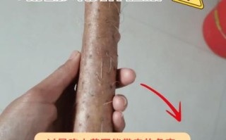 山药沾白糖吃了会死吗_一百天自死真相