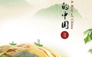 舌尖上的中国2完整视频在哪看_舌尖上的中国2高清下载