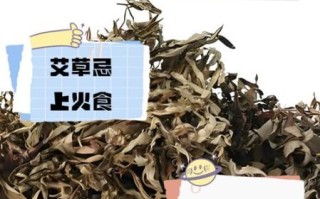 艾草与什么食物相克_艾草不能和什么一起吃