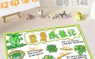 豆芽怎么种_豆芽生长过程简笔画