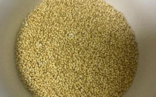 小米面的功效与作用_小米面怎么吃最养胃