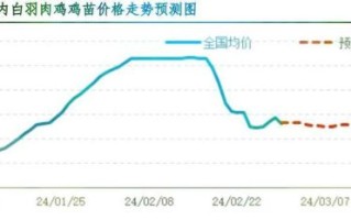 鸡肉价格为什么上涨_鸡肉价格走势2024